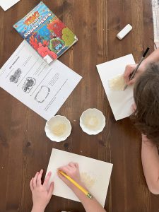 Hand-Drawn Maps: Creating Coral Reef Formations with Rice - The Global ...
