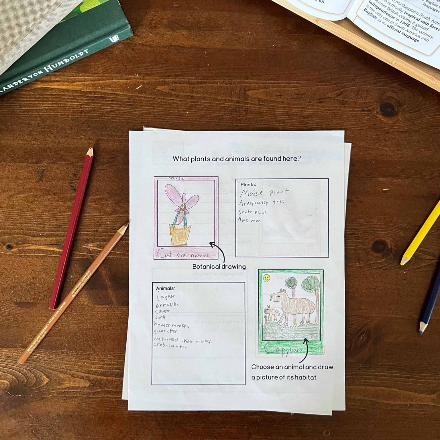 Geography Notebooking: Creative Ideas to Bring Maps to Life - The ...