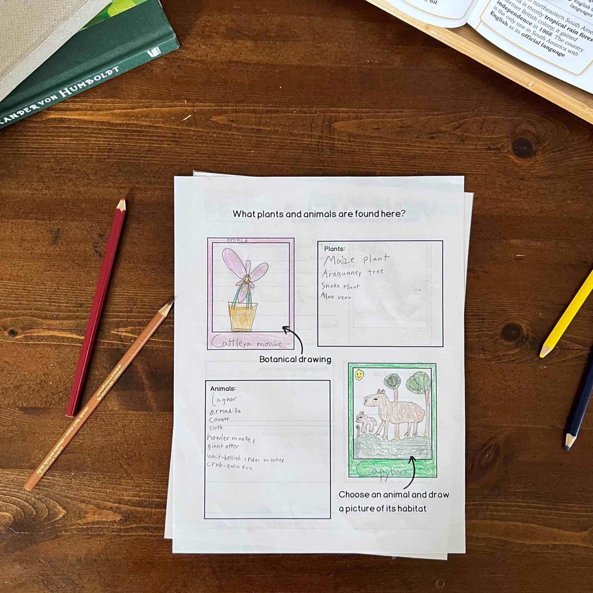 Geography Notebooking: Creative Ideas to Bring Maps to Life - The ...