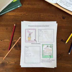 Geography Notebooking: Creative Ideas to Bring Maps to Life - The ...