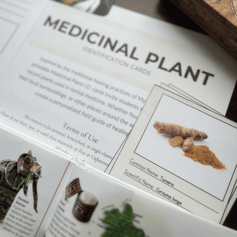 Asia Unit Study - The Global Explorers Club